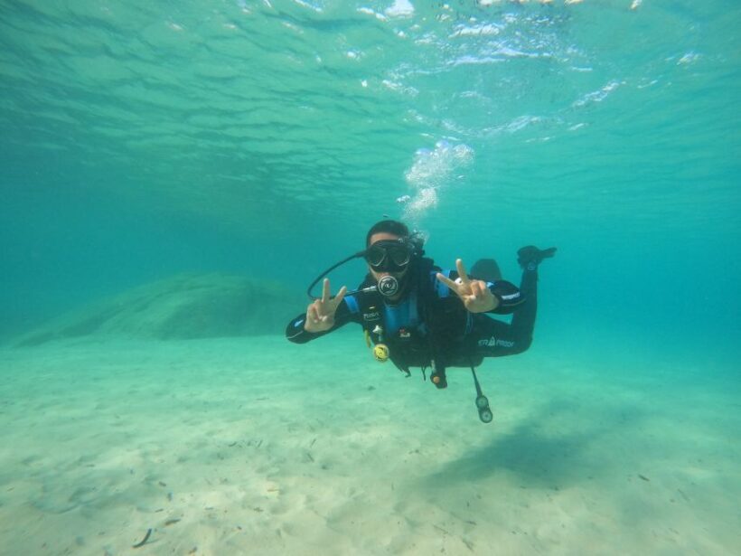 Naxos: Discover Scuba Diving on Agios Georgios Beach - The Experience’s Value and Cost