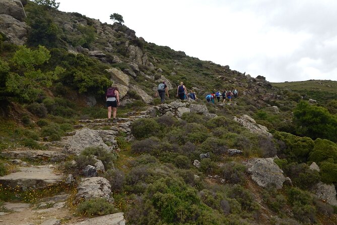 Naxos: Hike to the Top of the Cyclades - Mount Zas - Meeting and Pickup