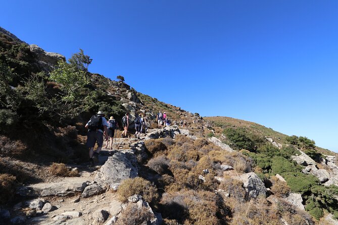 Naxos: Hike to the Top of the Cyclades - Mount Zas - What to Expect on the Trail