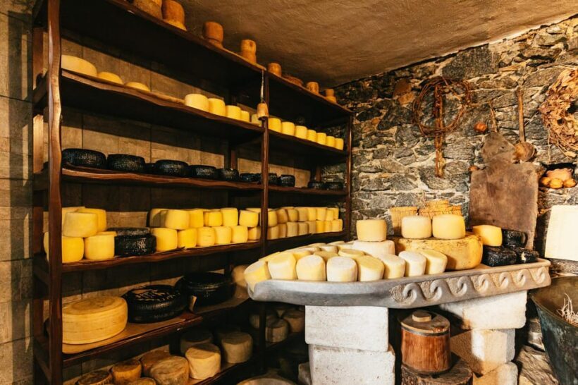 Naxos: Naxos Town Food Tour with Tastings and Wine - The Sum Up: Who Will Love This Experience?