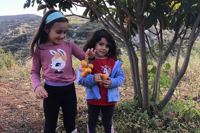 Naxos Perivoli Farm Experience & Wood-fire Cooking Class - From Farm to Table: A Culinary Journey