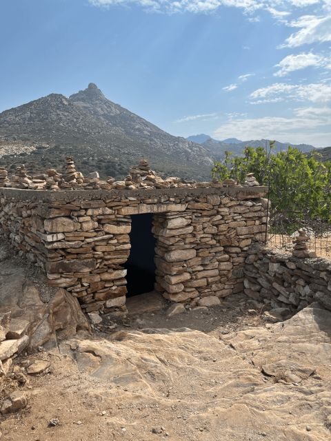 Naxos: Private E-Bike Tour with Farm Lunch - Authenticity and Value