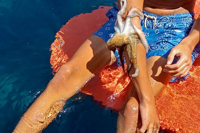 Naxos private fishing trips, lunch on board & island hopping - Final Thoughts: Who Will Love This Tour?