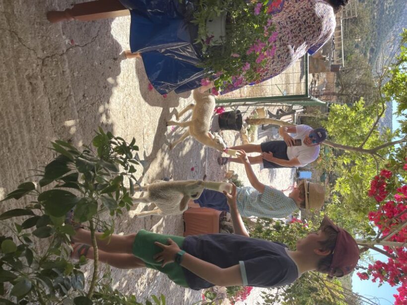 Naxos: Private Half-Day Family-Friendly Tasting Tour - The Sum Up: Why Choose This Tour?