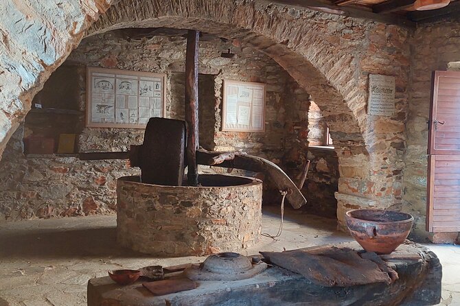 Naxos Private Highlights Half Day Tour - Inclusions and Logistics of the Tour