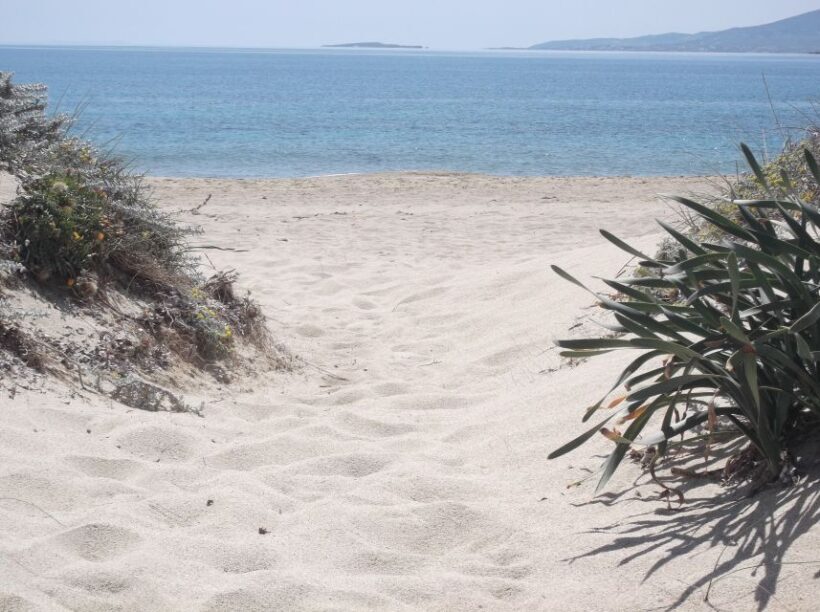 Naxos: Private Minibus Rental with an Experienced Driver - Exploring Naxos at Your Own Pace