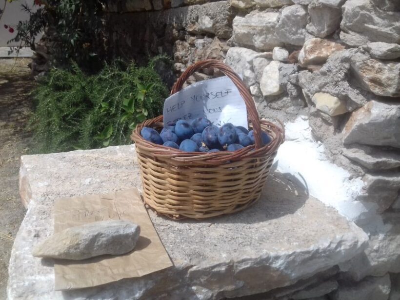 Naxos: Private Minibus Rental with an Experienced Driver - FAQ
