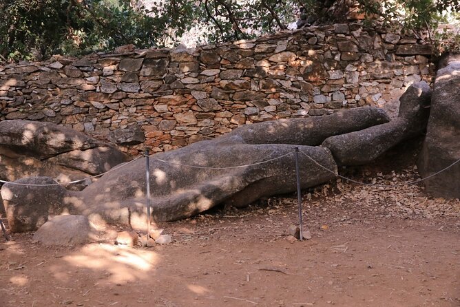 Naxos Private / Semi Private E-Bike Guided Tour Aegean Lush - Savoring Local Flavors