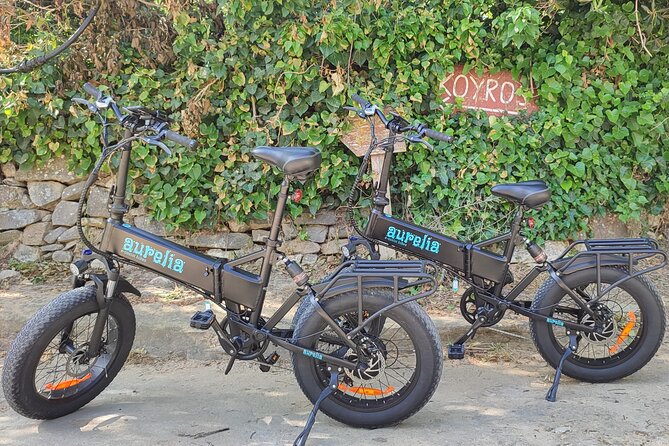 Naxos Private / Semi Private E-Bike Guided Tour Aegean Lush - Navigating the Scenic Landscapes