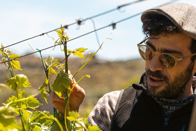 Naxos Private / Semi Private E-Bike Guided Tour Inland Methexis - Who’s This Tour Best For?