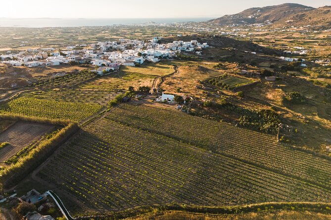 Naxos Private / Semi Private E-Bike Guided Tour Inland Methexis - Additional Useful Information