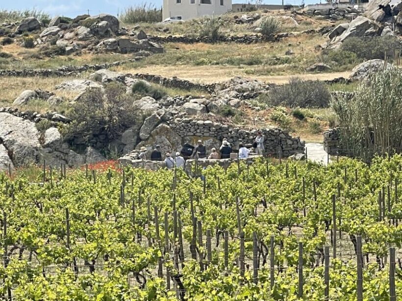 Naxos: Private Vineyard Tour & Wine Tasting with an Expert - The Value of the Experience