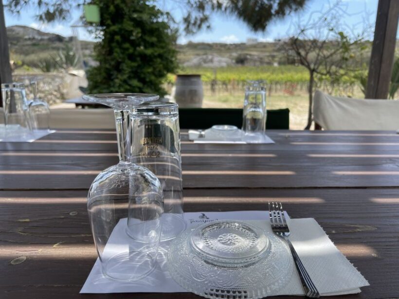 Naxos: Private Vineyard Tour & Wine Tasting with an Expert - The Sum Up: Is It Right for You?