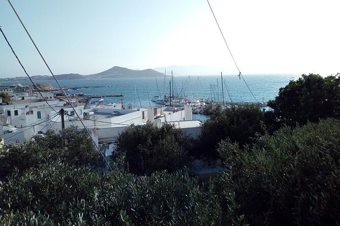 Naxos Sunset City Walk - Accessibility and Additional Details