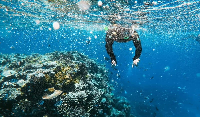 Naxos: Taormina Boat Tour with Snorkeling and Prosecco - Authentic Review Highlights