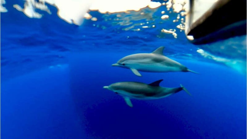Naxos: Taormina Boat Tour with Snorkeling and Prosecco - Frequently Asked Questions