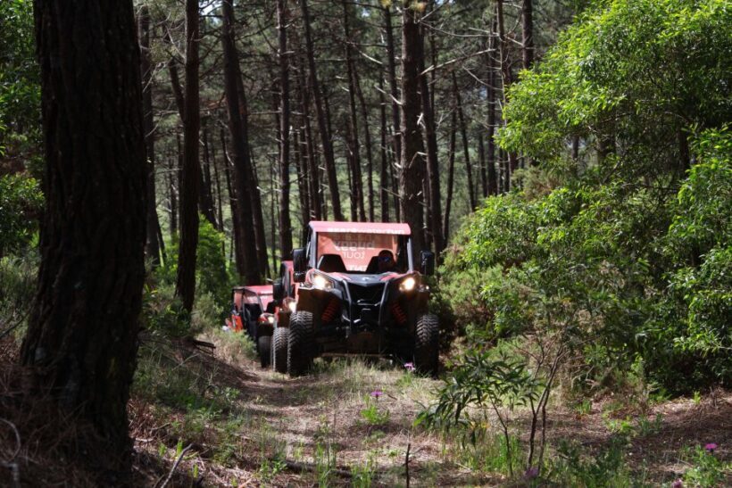 Nazaré: 4x4 Buggy Tour with Guide - Who Might Not Love It?