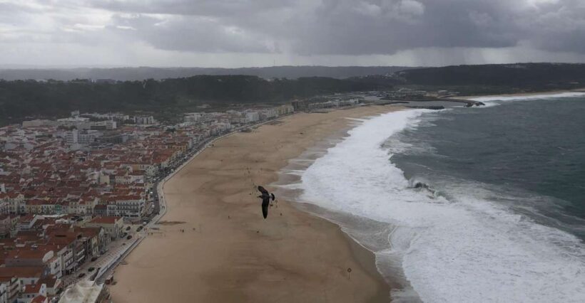 Nazaré: Big Wave Capital & Medieval Óbidos tour from Lisbon - What the Reviews Reveal