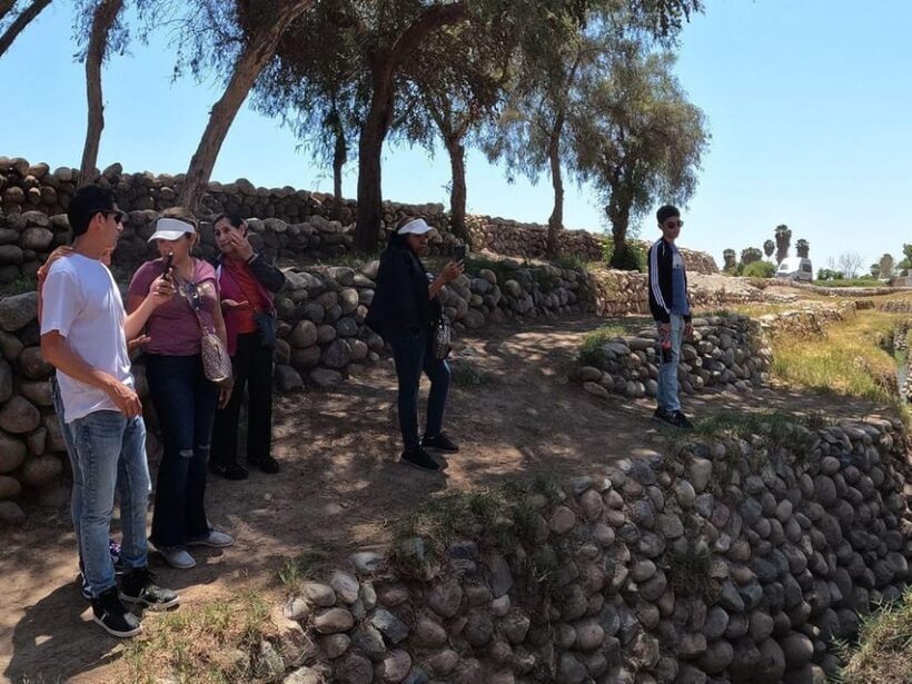 Nazca: Cantalloc Aqueducts Tour - Analyzing the Value