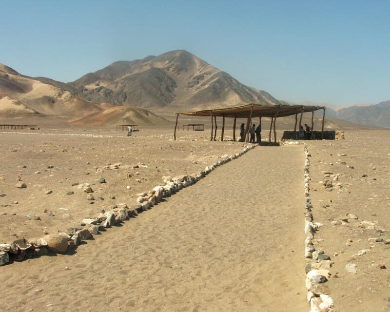 Nazca: Chauchilla Cemetery Archaeological Tour - An In-Depth Look at the Chauchilla Cemetery Tour