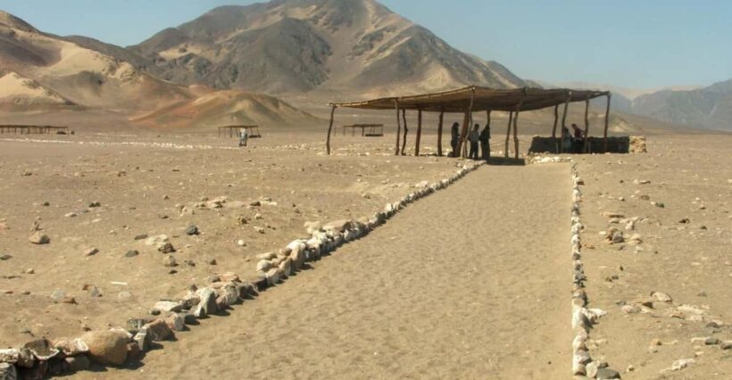 Nazca: Chauchilla Cemetery Archaeological Tour - Who Will Enjoy This Tour?