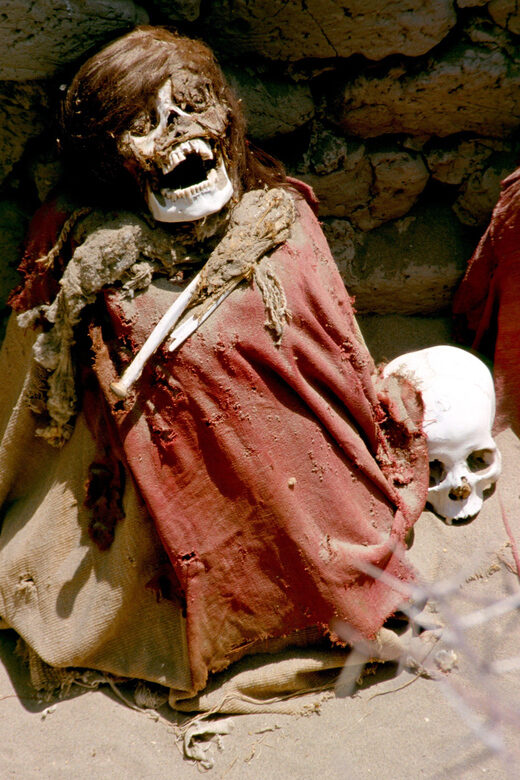 Nazca - Chauchilla Cemetery Tour - Discovering Chauchilla Cemetery