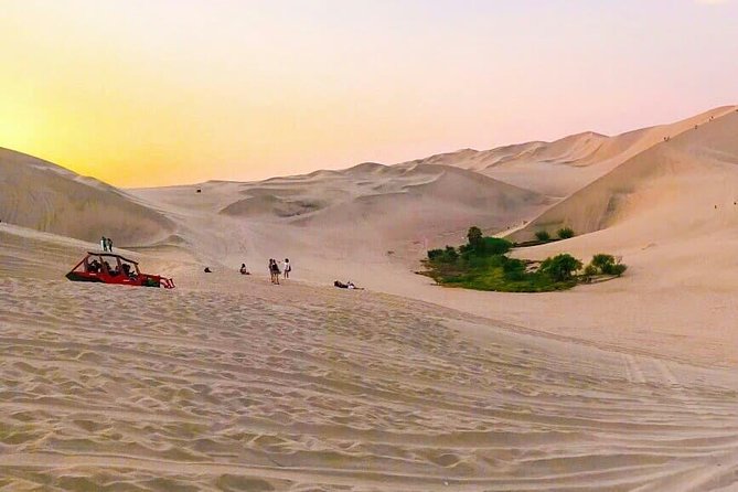Nazca Lines and Dune Buggy (Huacachina) From Ica - Language Support and Assistance