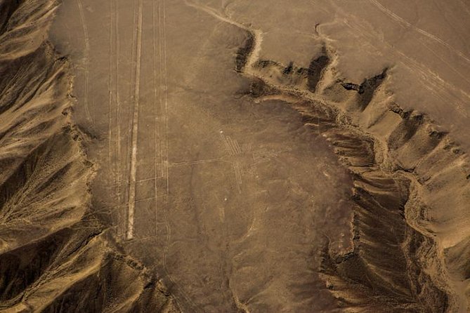 Nazca Lines and Dune Buggy (Huacachina) From Ica - Customer Feedback and Reviews