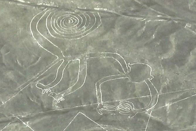 Nazca Lines and Huacachina Oasis From Lima - Traveler Experiences and Feedback