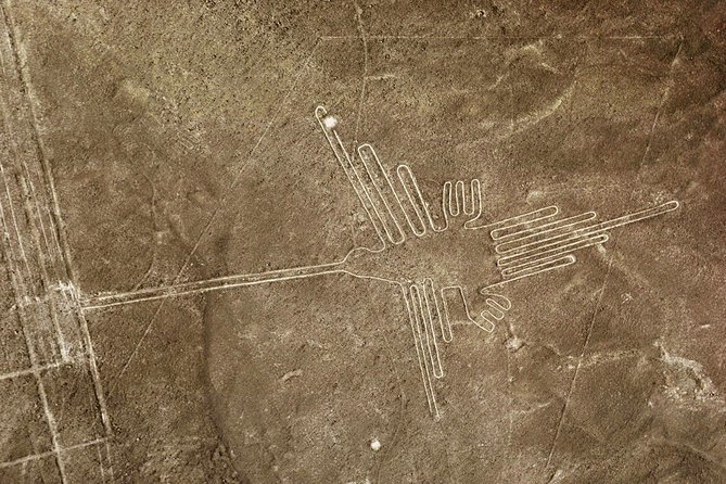 Nazca Lines & Ballestas Islands Private Tour From Lima - Wildlife and Sights