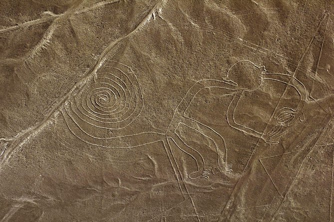 Nazca Lines & Ballestas Islands Private Tour From Lima - Transportation and Guidance