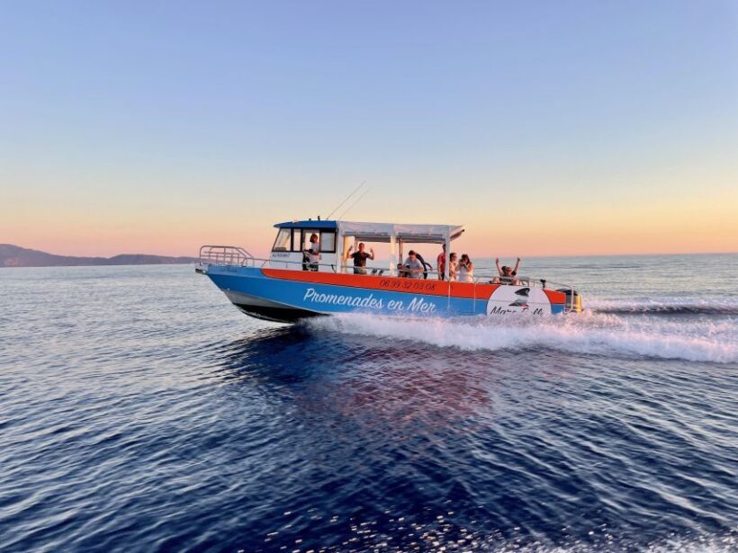 Near Ajaccio : Cruise to Piana Scandola cliffs and Girolata - Who Should Consider This Tour?