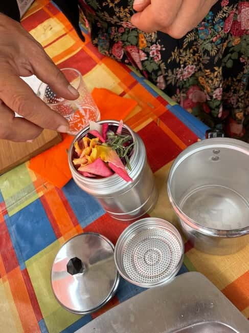 Near Cagliari: Wild Herbs and Healing at "In Our Garden" - Exploring the Tour: A Step-by-Step Look