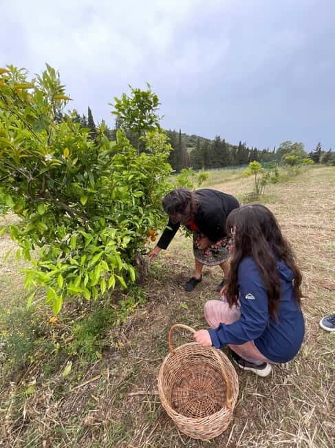 Near Cagliari: Wild Herbs and Healing at "In Our Garden" - Who Will Love This Experience?
