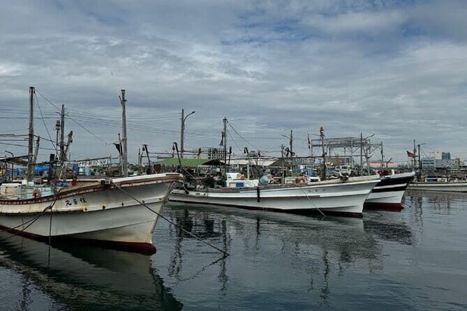 Near KIX Fishing Market Tour with Local Guide - Why Visit the Fish Market?