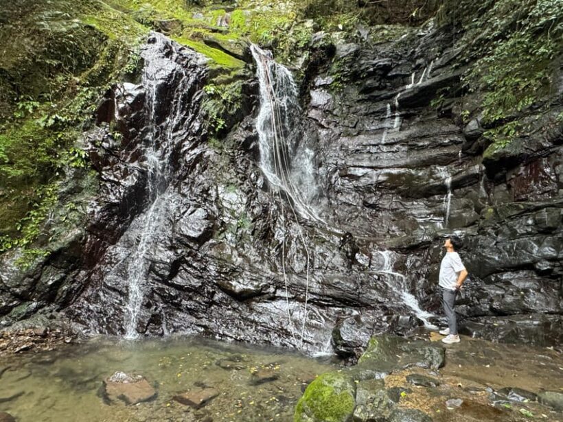 Near KIX: Osakas Inunaki Mountains & Waterfall Pilgrimage - Who Will Love This Tour?