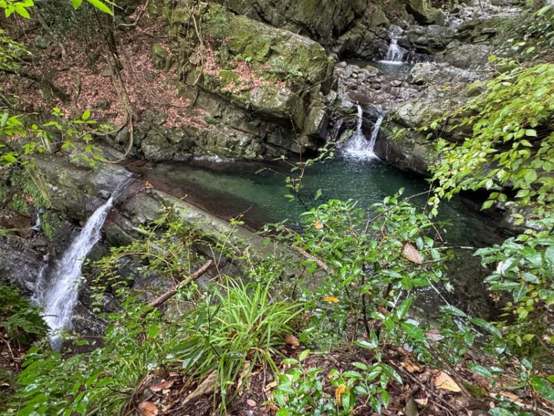Near KIX: Shugendo Sanctuary of Waterfalls & Tranquility - Duration and Pricing