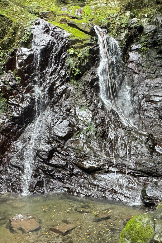 Near KIX: Shugendo Sanctuary of Waterfalls & Tranquility - Highlights and Experiences