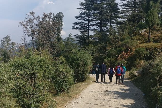 Neelkanth Temple Hike from Rishikesh: Forest Trail & Cave Visit - Who Should Consider This Tour?