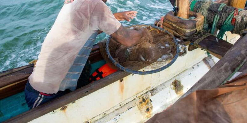 Negombo: Catamaran Sailing with Traditional Fishermen - FAQs