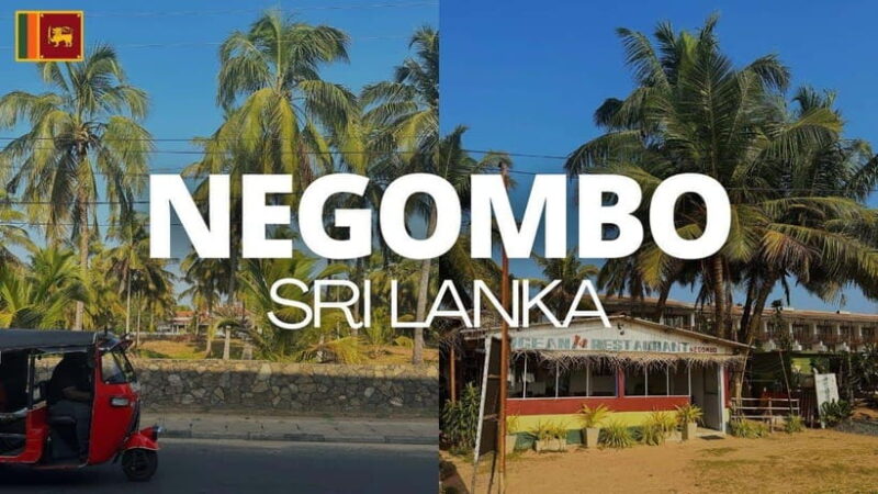 Negombo City : Explore the Fish Market & Dutch Canal by Boat - Key Points