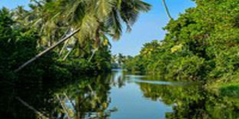 Negombo City Highlights with Traditional Catamaran Ride - Practical Details and Tips