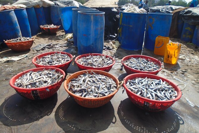 Negombo City Tour by Tuk Tuk - FAQ