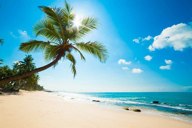 Negombo City Tour from Colombo - The Practicalities: What You Need to Know