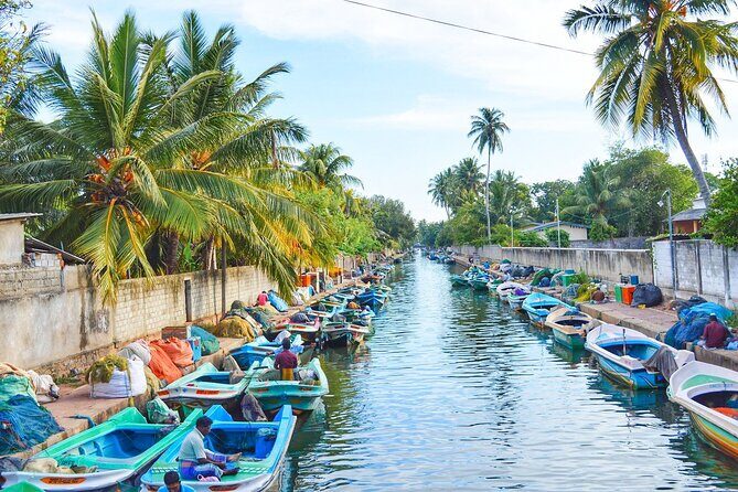Negombo City Tour from Colombo - Authenticity and Reviews