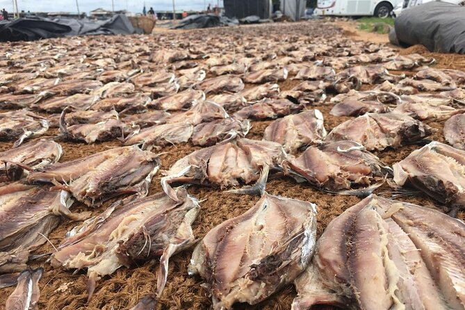 Negombo City Tour & String Hopper Cooking Experience  Half Day - Key Points