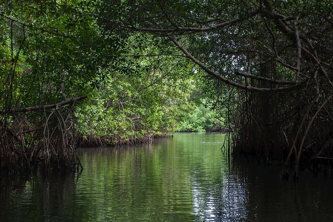 Negombo City Tour & String Hopper Cooking Experience  Half Day - FAQ