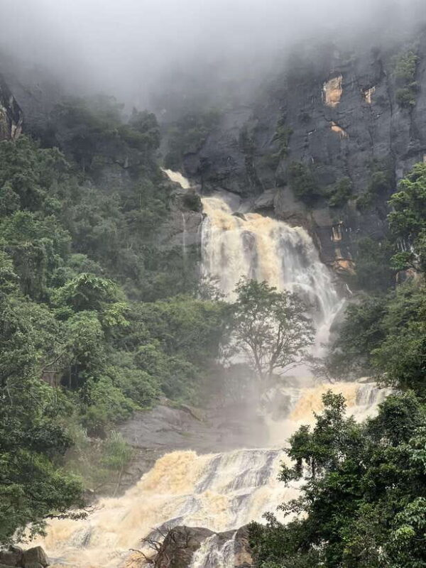 Negombo/Colombo: 10-Day Private Sri Lanka Tour with Hotel - What’s Included and Excluded: What Travelers Should Know