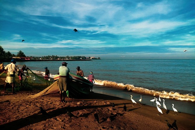 Negombo Day Tour - Who Will Love This Tour?