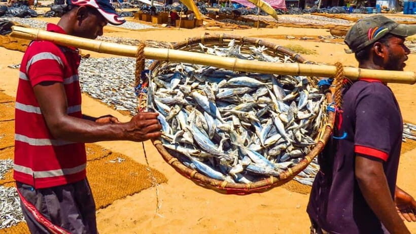 Negombo: Dutch City Exploration - Bustling Markets and Narrow Lanes